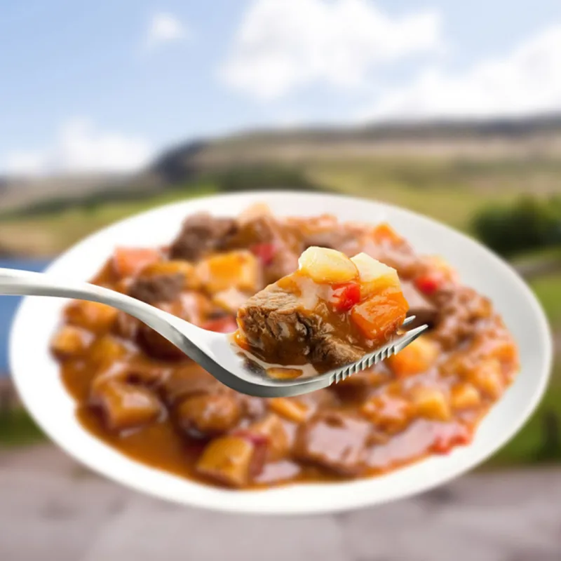 Wayfayrer MRE - Beef Goulash